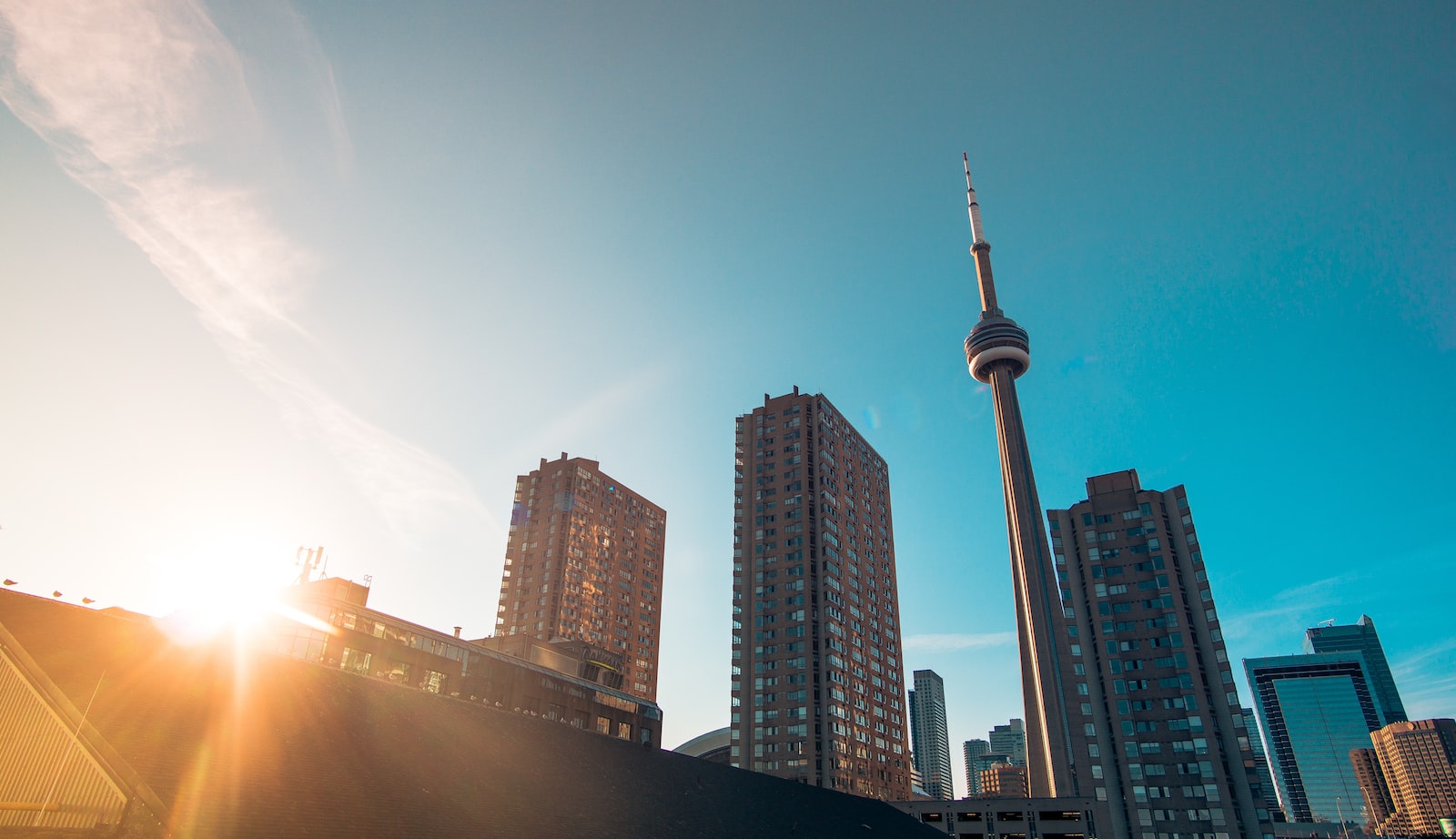 Choosing The Right Staffing Agency in Toronto For Your Business